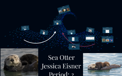Sea Otter by Jessica Eisner on Prezi