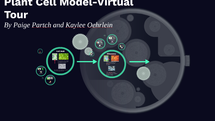 Plant Cell Model-Virtual Tour by Paige Partch on Prezi