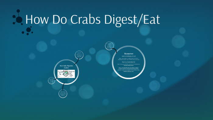 How Do Crabs Digest/Eat by Hi HI on Prezi
