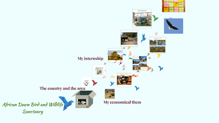 African Dawn Bird and Wildlife Sanctuary by Yveline Rivière on Prezi