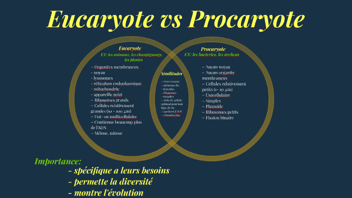 Eucaryote vs Procaryote by riley smiley on Prezi