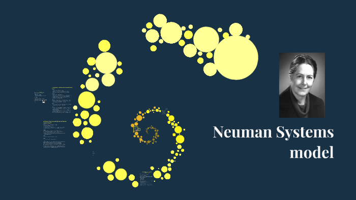 Neuman Systems model by Amanda Maas on Prezi