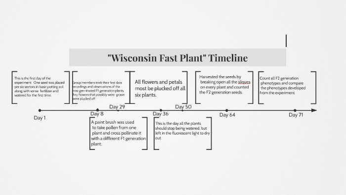 Fast Plant Timeline by Emmy R on Prezi