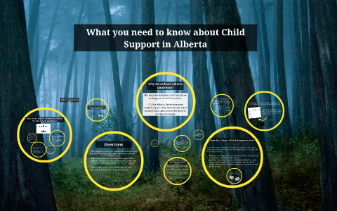 What you need to know about child support in Alberta by Lorrie Kwasney ...