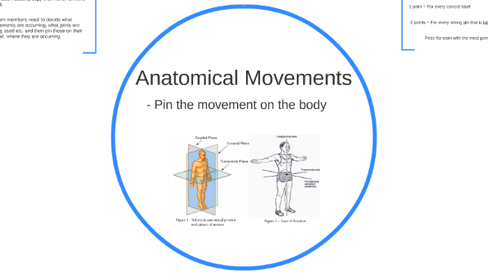 Anatomical Movements Game by David Chapman on Prezi