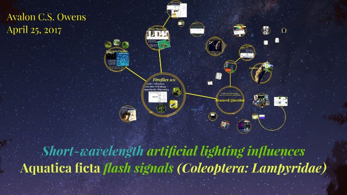 Visual Ecology of Aquatica ficta by Avalon Owens on Prezi