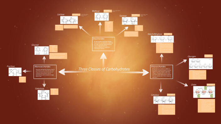 Three Classes of Carbohydrates by Jaskarn Bola on Prezi