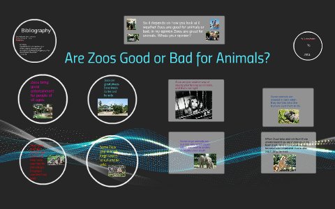 Are Zoos Good or Bad for Animals? by Zachary Lucy on Prezi