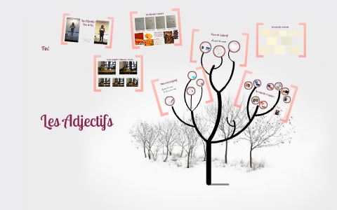 French Grammar Flipping Project: Adjectives by on Prezi