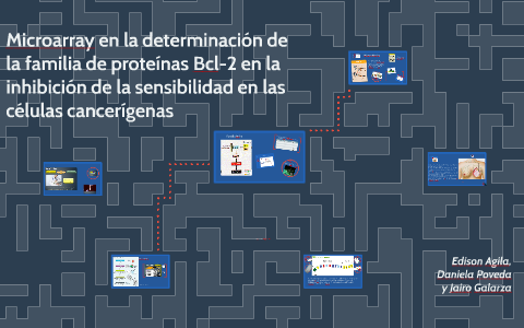 Microarray en la determinación de la familia de proteínas Bc by Dani ...