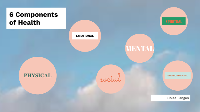 The 6 Components of Health by Eloise Langan on Prezi