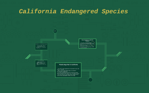 California Endangered Species by Jimmy Peacock on Prezi