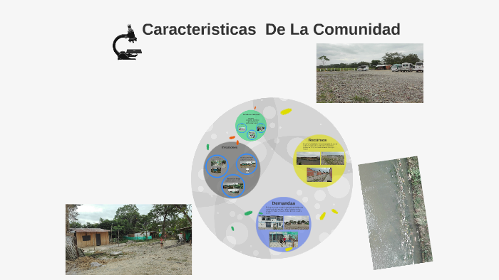 CARACTERISTICAS De La Comunidad by betty usme on Prezi