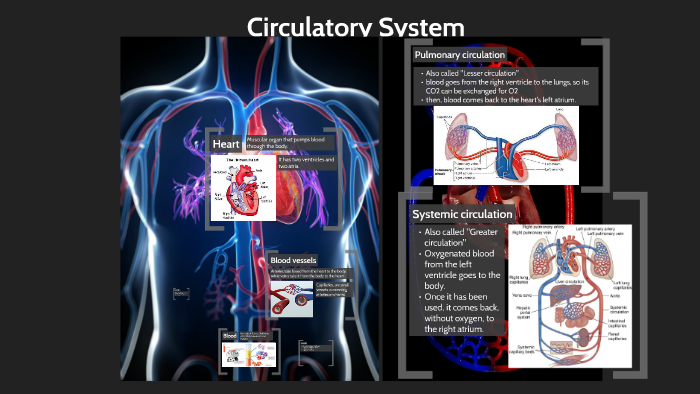 Circulatory System (5th grade) by Cesar Meza on Prezi