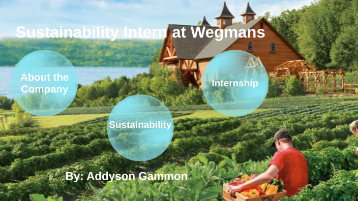 Sustainability Intern at Wegmans by Addyson Gammon on Prezi