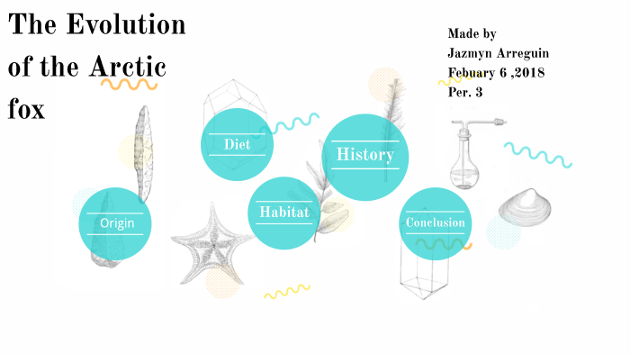 Evolution Of the Arctic Fox by Jazmyn Kie Arreguin on Prezi