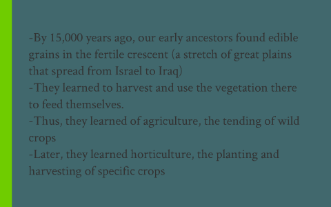 Neolithic Revolution by Jared Margolis