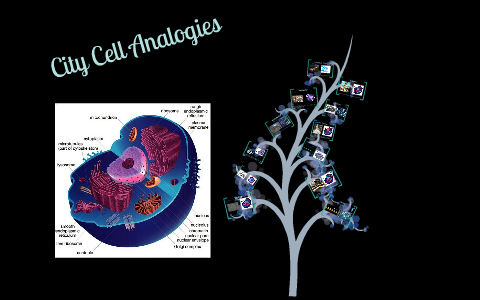 City Cell Analogies by Dawn Nelson on Prezi
