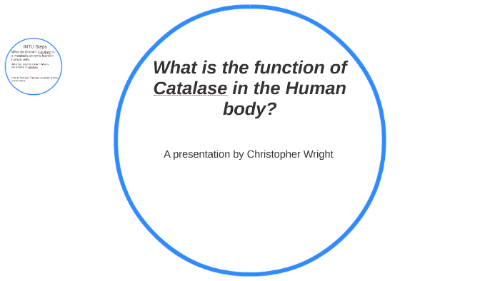 What is the function of Catalase in the Human body? by chris wright on ...