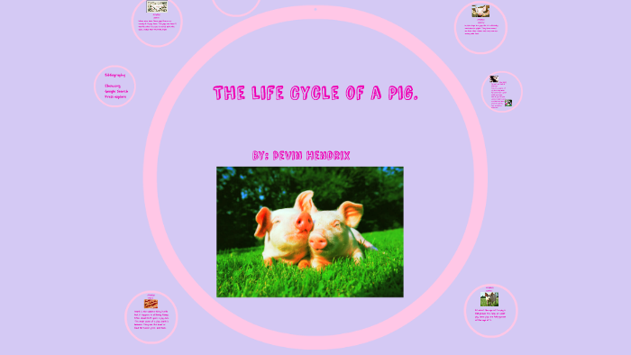 life cycle project. by Devin Hendrix on Prezi