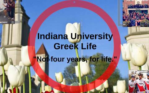 Indiana University Greek Life by on Prezi