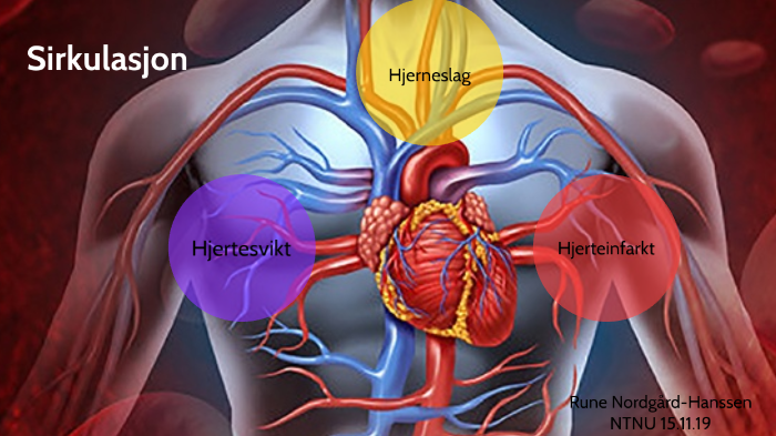 Sirkulasjon by Rune Nordgård-Hanssen on Prezi