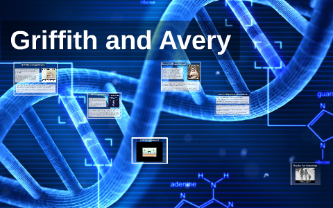 Griffith and Avery by valeria buitrago on Prezi