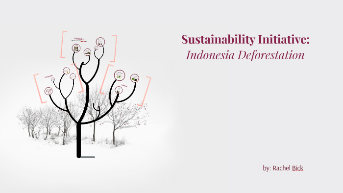 Sustainability Initiative: by Rachel Bick on Prezi
