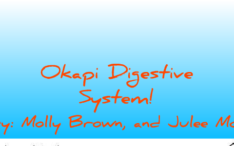 Okapi digestive system! by Molly Brown on Prezi