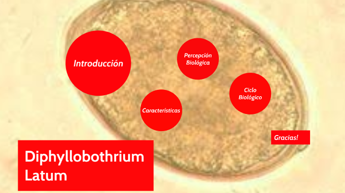 Diphyllobothrium Latum by Carlos Paz Soldan on Prezi