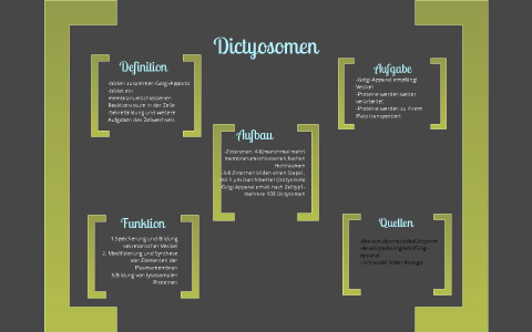 Dictyosomen-Lyosomen by Sandra Scholl on Prezi