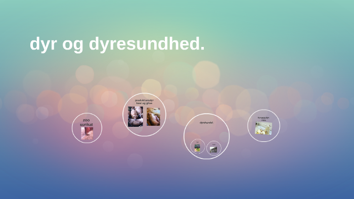dyr og dyresundhed. by Line Mikkelsen on Prezi