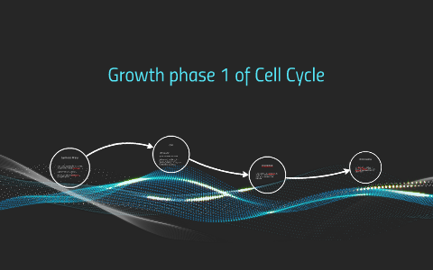 Growth phase 1 of Cell Cycle by Theresa Morales on Prezi