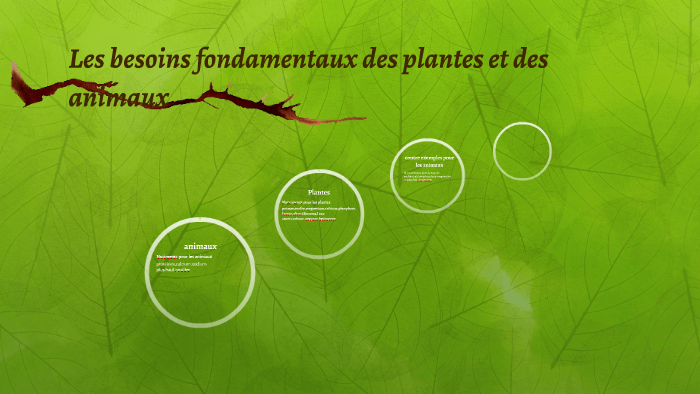 Les besoins fondamentaux des plantes et des animaux by Vithal Jami on Prezi