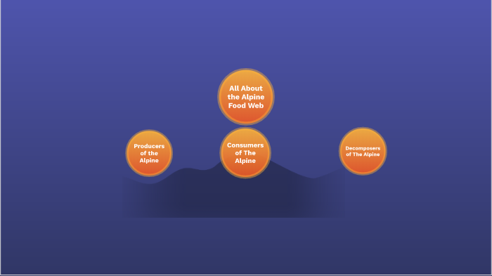 Alpine Food Web by Christian Schroeder on Prezi