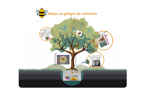 Desaparición de las abejas, culpa del ser humano, by Cathy Lively on Prezi