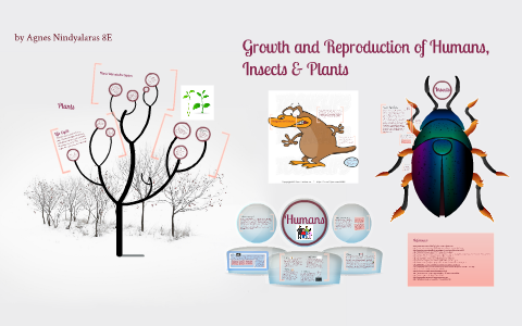 Growth and Reproduction of Humans, Insects & Plants by Agnes ...