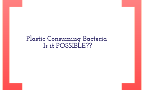 The Development of Bacteria, Capable to Degrade Plastics by Kandace ...