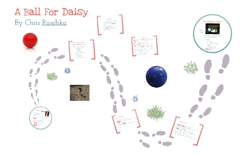 A Ball For Daisy by Sara Christopherson
