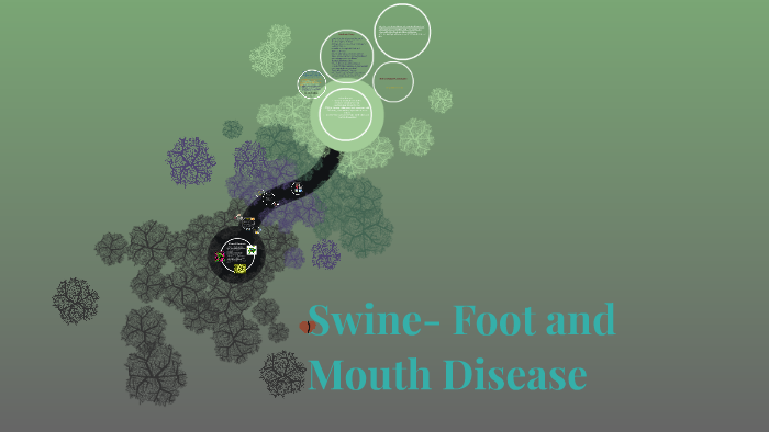 Swine- Foot and Mouth Disease by jennifer cedeno on Prezi