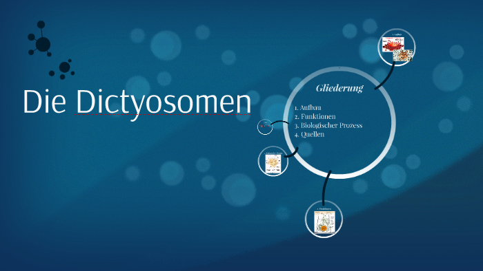 Dictyosomen by Robert Schichtl on Prezi