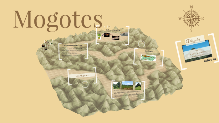Mogotes by Pamela Morales on Prezi
