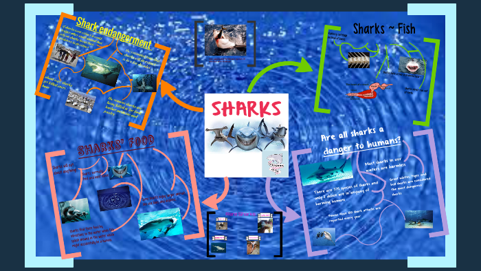 Shark Mind Map by Emma Wray on Prezi