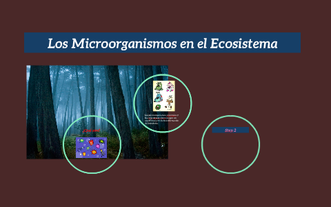 Los Microorganismos en el Ecosistema by Isabel Bayona