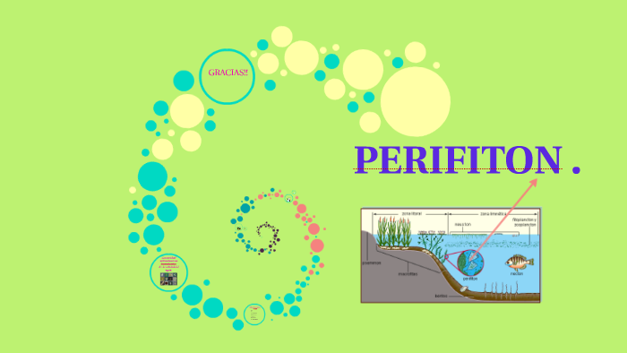 PERIFITON INDICADOR DE LA CALIDAD QUÍMICA DEL AGUA. by Mónica García on ...