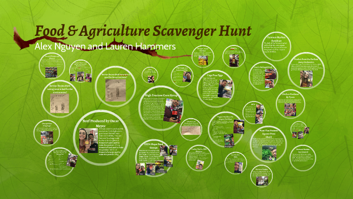 Food & Agriculture Scavenger Hunt by Lauren Hammers