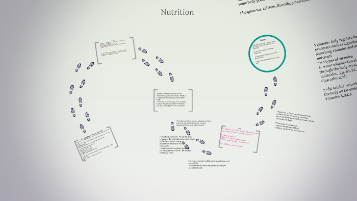 Health/nutrition chpt. 5.1 & 5.2 by Tori Tharp on Prezi