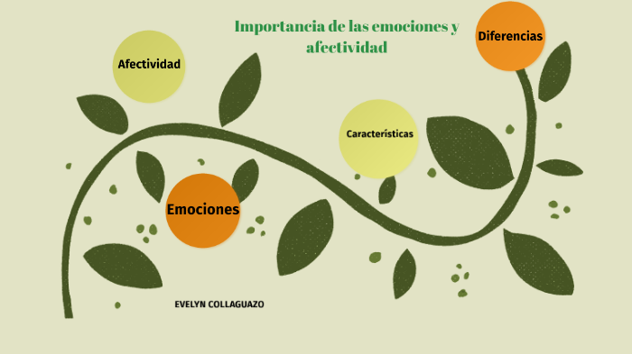 Importancia De Las Emociones Y Afectividad By Evelyn Collaguazo On Prezi