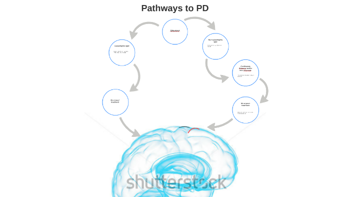 PD pathway sample 1 by on Prezi