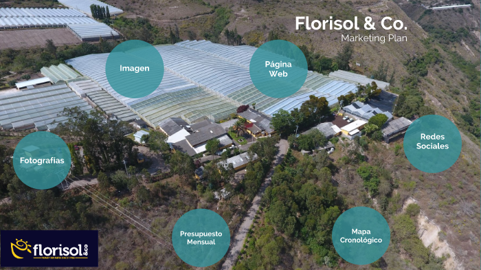 Florisol MKT Plan by Andrea LM on Prezi